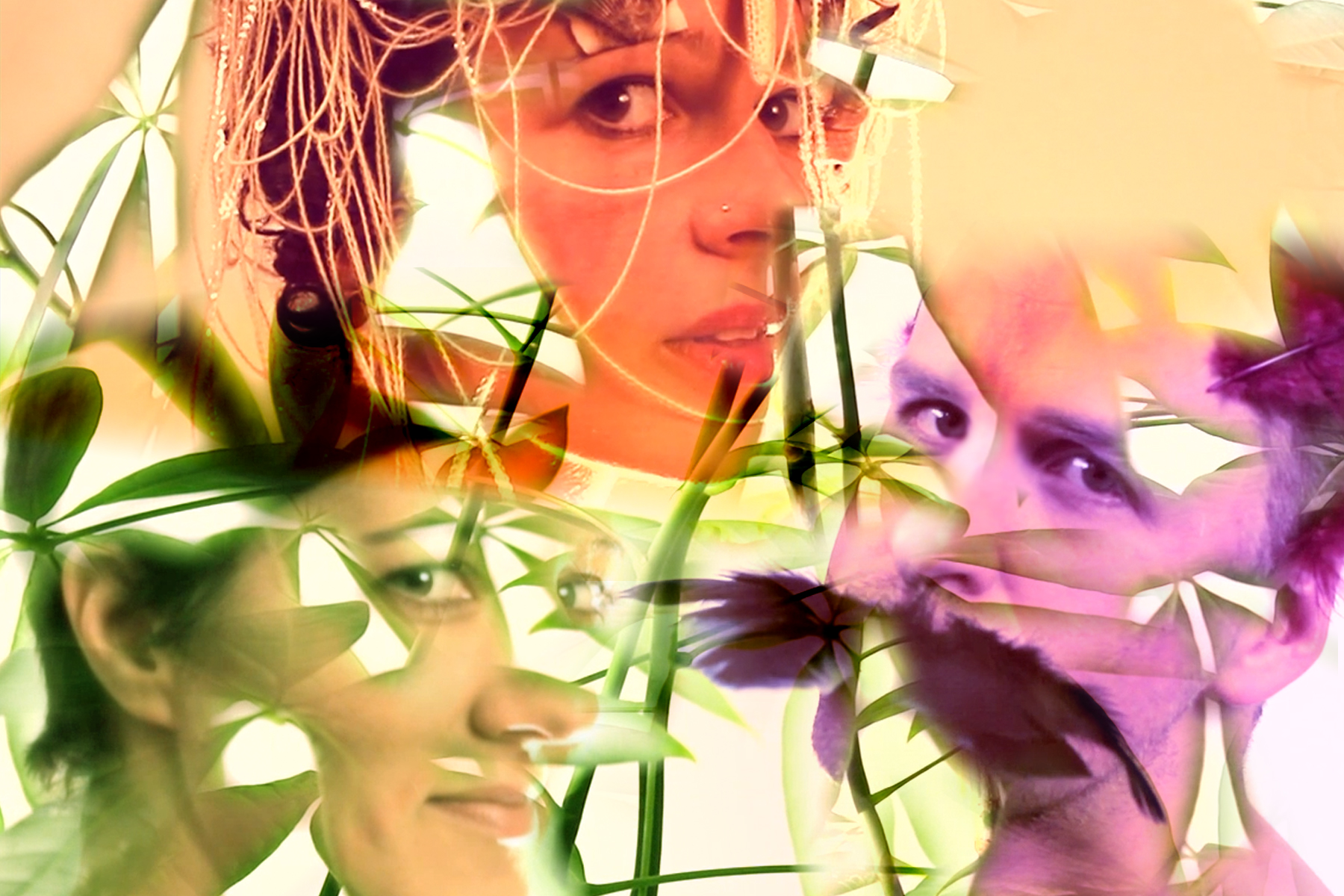 Liz Davito, Lucy Smith, Eamonn Farrell, & Jessica Weinstein of “I Land ...